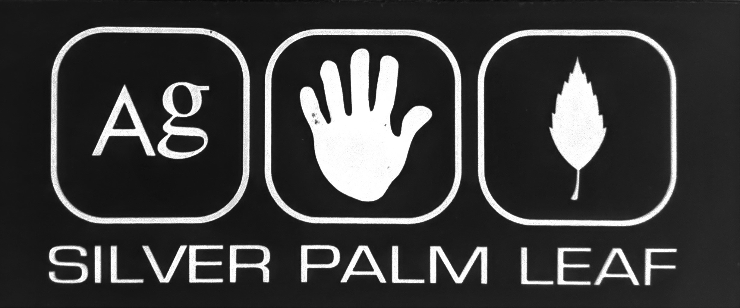 Silver Palm Leaf – The Original Credit Card Pipe